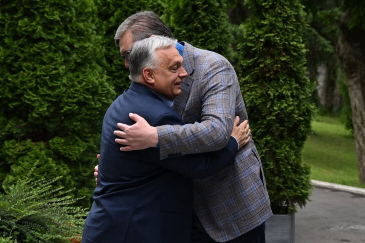 De förstår varandra även när de talar ett annat språk | BALK Magazine